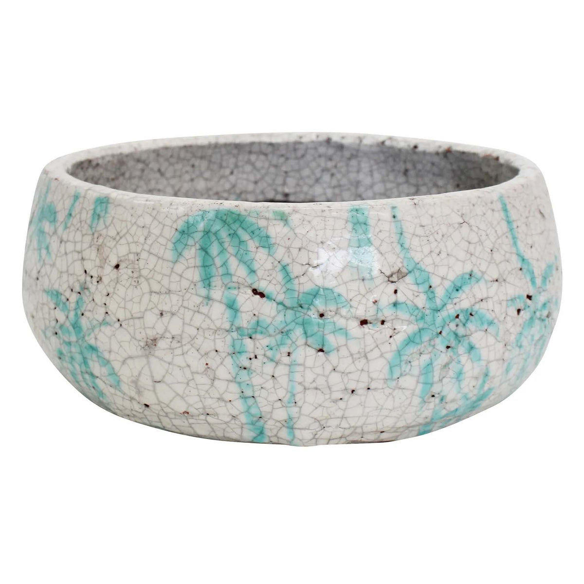 Pot Island Palm Tree – The Gymea Lily