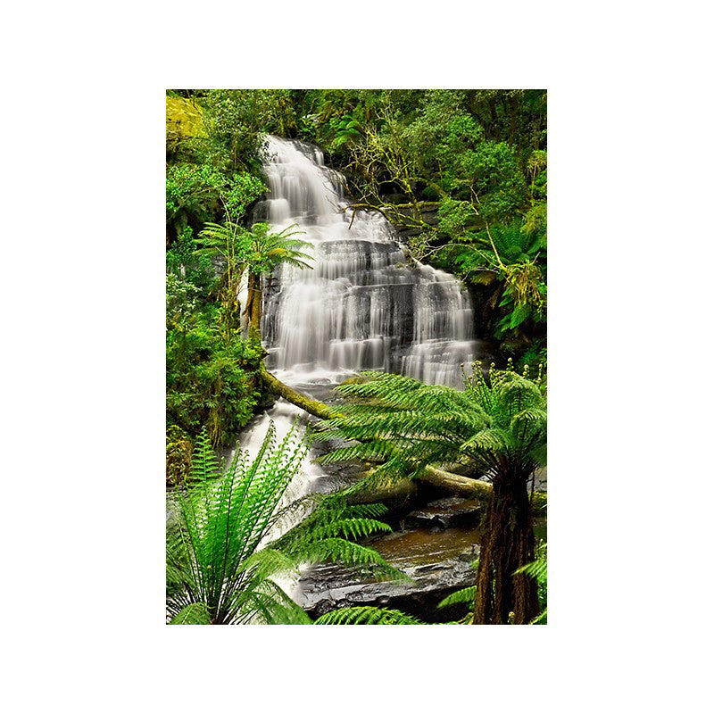 Rainforest Microfibre Cloth – The Gymea Lily